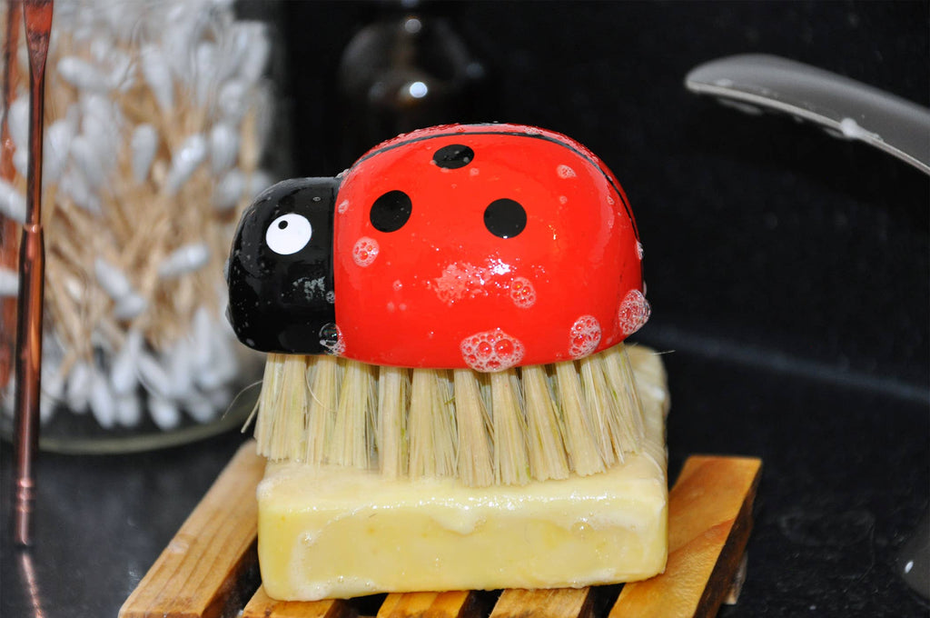 Ladybug Brush – That's Just Dandy, LLC